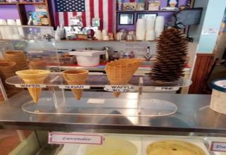 36 Delightful Pics That Will Entertain and Amuse You - Funny Gallery ...