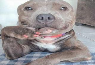 A Nonchalant Compilation of 30 Interesting Images | eBaum's World