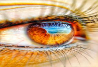 Nonchalant Compilation of 30 Remarkable Images - Ftw Gallery | eBaum's ...