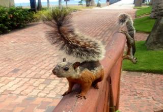 Nonchalant Compilation of 23 Remarkable Images - Funny Gallery | eBaum ...