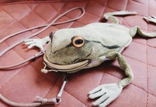 Nonchalant Compilation of 34 Remarkable Images - Wow Gallery | eBaum's ...