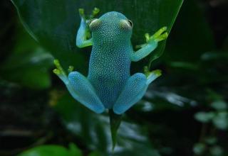 Nonchalant Compilation of 41 Remarkable Images - Ftw Gallery | eBaum's ...