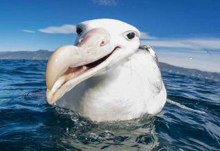 Nonchalant Compilation of 41 Remarkable Images - Ftw Gallery | eBaum's ...