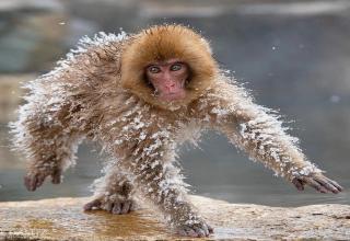 Nonchalant Compilation of 35 Remarkable Images - Wow Gallery | eBaum's ...