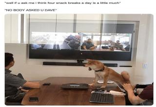 A Nonchalant Compilation of Funny, Random, and WTF Pics - Funny Gallery ...