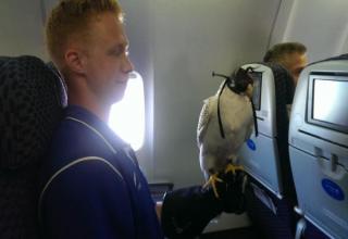 16 Awkward Airplane Moments - Funny Gallery | eBaum's World