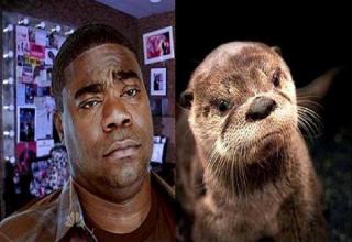 30 Animals That Look Oddly Familiar - Gallery | eBaum's World