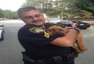 34 amazing cop pictures - Gallery | eBaum's World