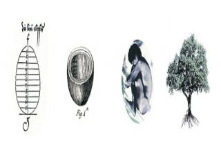 Burial Pods Turn You Into A Tree After Death - Gallery | eBaum's World