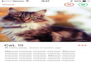 25 Tinder Profiles That Are Awkward At Best - Funny Gallery | eBaum's World