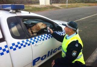 38 Times Cops Were Cool - Funny Gallery | eBaum's World