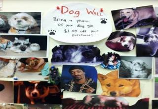 21 Things That Stand Out From The Rest - Funny Gallery | eBaum's World