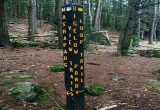 16 Signs That Suffer From Unbelievably Crappy Designs - Funny Gallery ...