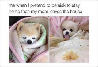 27 Pics That Totally Make Sense - Funny Gallery | eBaum's World