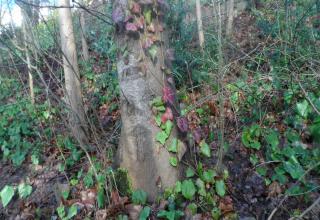 29 Amazing Things Found Underground - Wow Gallery | eBaum's World