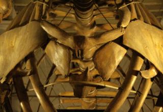 29 Amazing Things Found Underground - Wow Gallery | eBaum's World