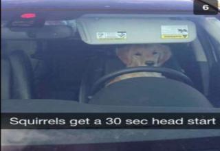 15 Awesome Snapchats So Clever They Deserve Some Kind of Award - Wow ...