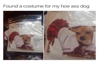 57 Hilarious Memes That Will Leave You In Stitches - Funny Gallery ...