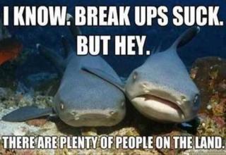 19 Of The Best Memes for When You Get Dumped - Funny Gallery | eBaum's ...