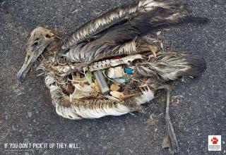 30 Hard-Hitting Ads That Will Make You Think | eBaum's World