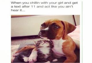 35 Hilarious Memes To Tickle Your Fancy - Funny Gallery | eBaum's World
