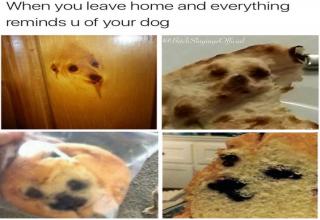 The 50 Funniest Memes Of The Week - Funny Gallery | eBaum's World