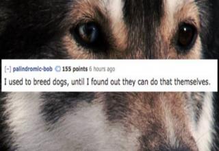 17 Cheesy One-Liners Sure To Make You Laugh - Funny Gallery | eBaum's World