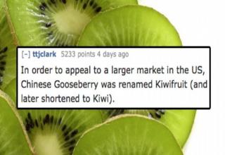 28 Bits Of Useless Trivia That Are Actually Fascinating | eBaum's World