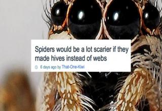 12 Deep Thoughts That Will Really Make You Think - Funny Gallery ...