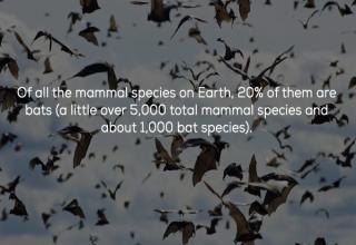 23 Puzzling Statistics That Will Mess With Your World View - Wow ...