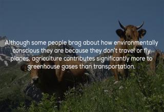 23 Puzzling Statistics That Will Mess With Your World View - Wow ...