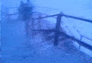 A Damn Fine Collection Of 16 Fascinating Photos - Wow Gallery | eBaum's ...