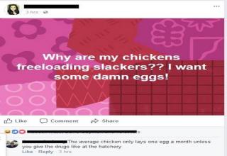 27 Crazy Facebook Posts That Are Out Of This World Insane - Funny ...