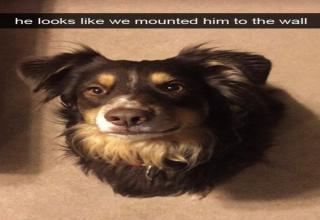 38 Hidden Gems In Funny Photos - Wow Gallery | eBaum's World