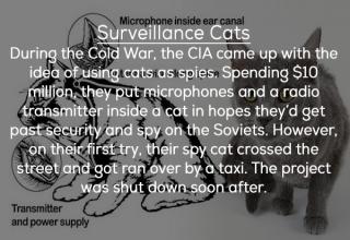 25 Scary Government Secrets That Have Been Declassified - Creepy ...