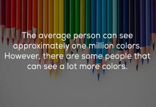 Interesting Facts about Color That Will Open Your Eyes - Wow Gallery ...