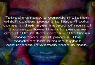 Interesting Facts about Color That Will Open Your Eyes - Wow Gallery ...