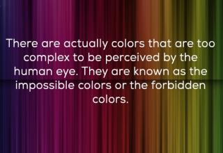 Interesting Facts about Color That Will Open Your Eyes - Wow Gallery ...