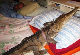 18 Creepy Reasons Australia is a Test of Bravery - Creepy Gallery ...