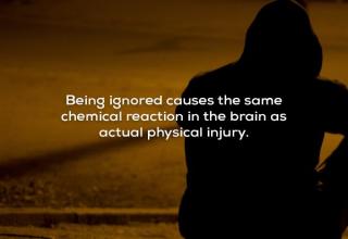 29 Disturbing Facts That Will Leave You Feeling Unsettled - Wtf Gallery ...