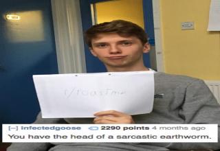 11 Roasts That Are Impressively Accurate - Funny Gallery | eBaum's World