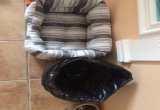 31 Times Real Life Was Very Confusing to the Eye - Wow Gallery | eBaum ...