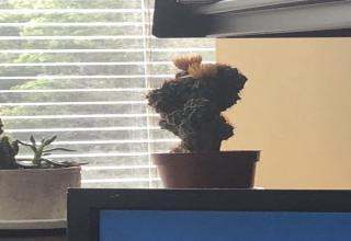 31 Times Real Life Was Very Confusing to the Eye - Wow Gallery | eBaum ...