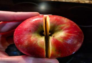 35 Perfect Pics That Are Strangely Satisfying - Feels Gallery | eBaum's ...