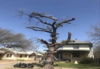 41 Unexplainable and WTF Photos That'll Make You Oof - Funny Gallery ...