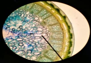 20 Photos of Things Super Close Up - Wow Gallery | eBaum's World