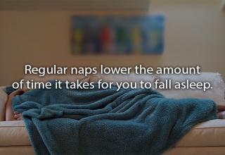 17 Nap Facts That'll Make You Sleepy - Wow Gallery | eBaum's World