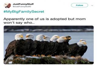 23 People Reveal Their Family's Biggest Secrets - Funny Gallery | eBaum ...