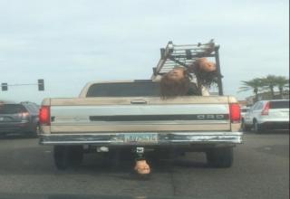 23 Photos That are Pure Nightmare Fuel | eBaum's World