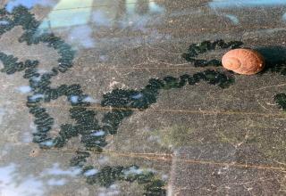 30 Fascinating Photos of Odd and Interesting Things - Ftw Gallery ...